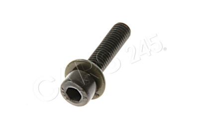Genuine Socket Head Bolt With Hexagon VW AUDI SKODA N91103701 | eBay