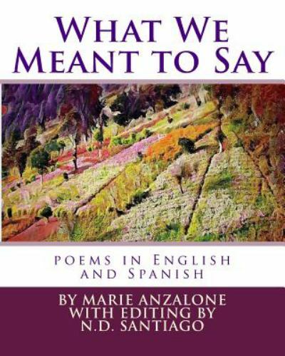 What We Meant to Say: poems in English and Spanish by Anzalone, Marie ...