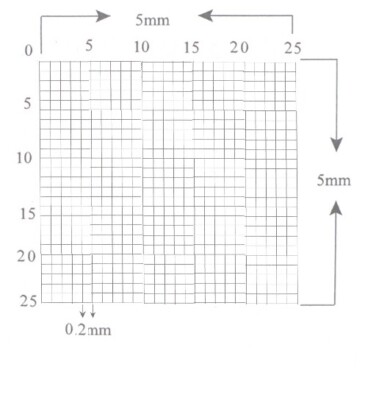 Reticle Grid 0.2mm Squares, 25 x 25, 625 Total Labeled, Micrometer Dia ...