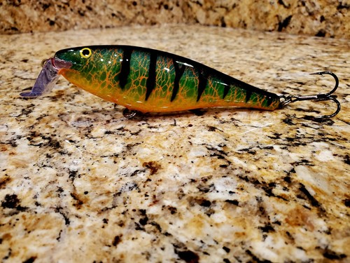 Custom Painted Rapala Super Shad Rap SSR-14 | eBay