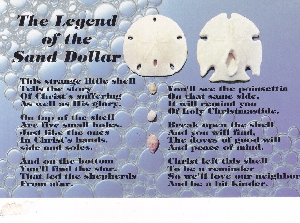 C38299 The LEGEND OF THE SAND DOLLAR [1 one CARD] Exocycloida, The ...