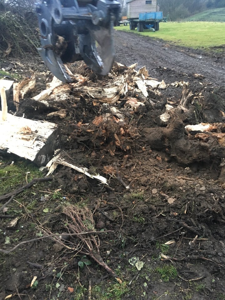 13 Ton Excavator Tree Stump Shear - Root Shear Root Harvester CAT JCB ...