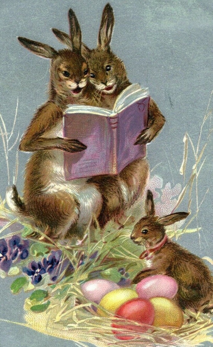 Easter Bunny Reading A Book