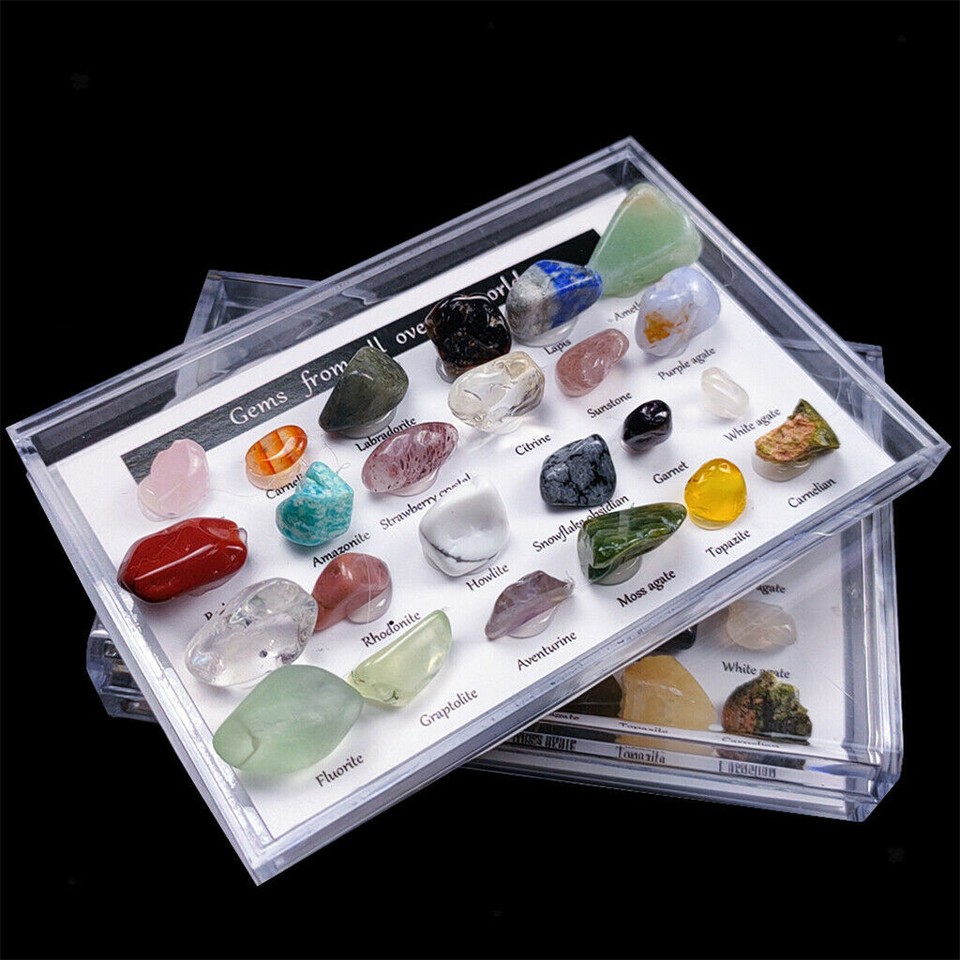 2-Box Rock Mineral Collection Stone Case Science Specimen Geography ...