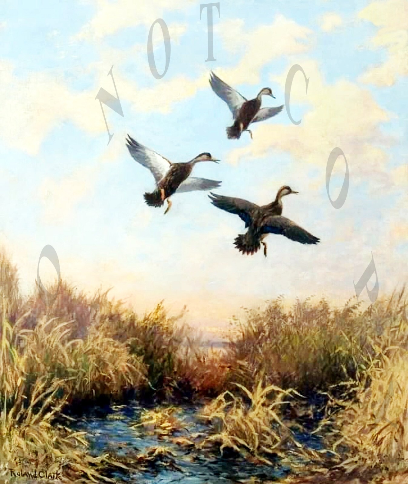 Antique Hunting 8X10 Artist Roland Clark Photograph Print 3 Black Ducks ...