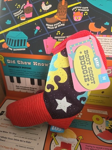 "Boot Scoot Boogie " Dog Toy Nashville Bark Box M Dogs 20+Lbs | eBay