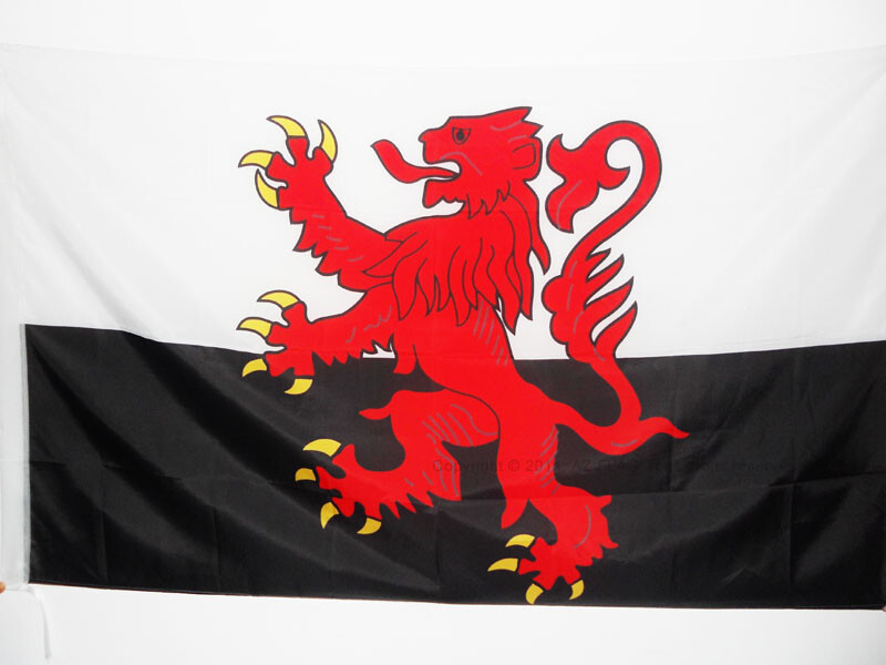 Alternate French Flags Designs