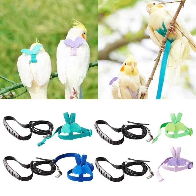Bird Flying Training Rope Elastic Harness&Leash Pet Bird Supplies | eBay