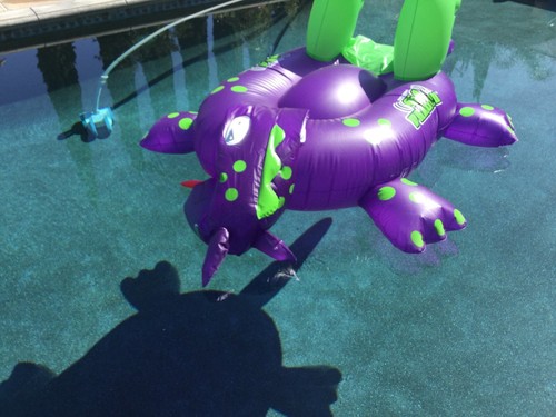 Swimline 90625 Swimming Pool Kids Giant Rideable Sea Dragon Inflatable ...
