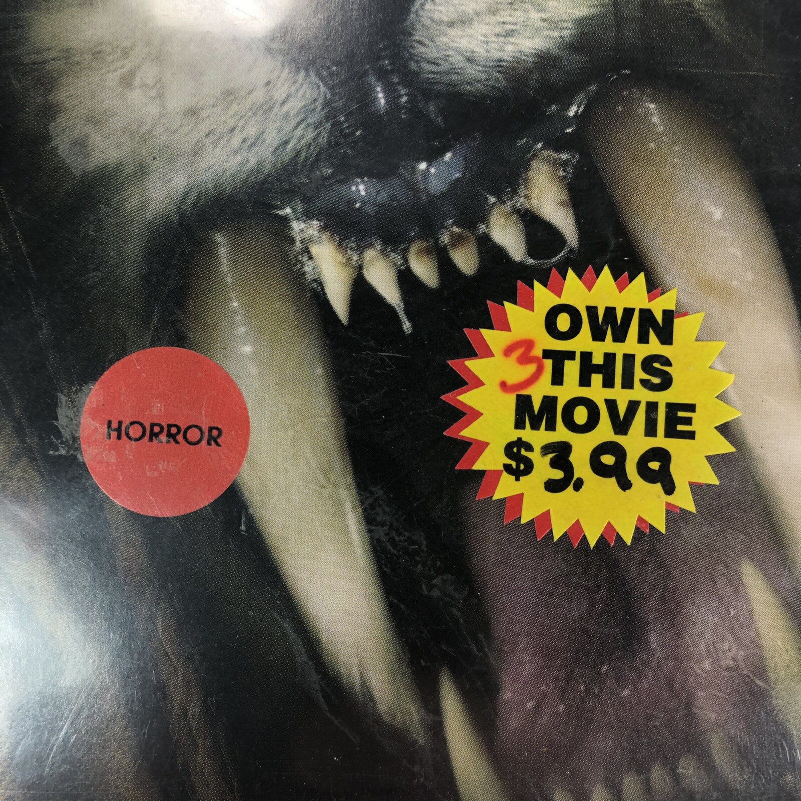 Attack of the Sabretooth DVD 2005 Nature Attacks Horror Comedy Schlock ...