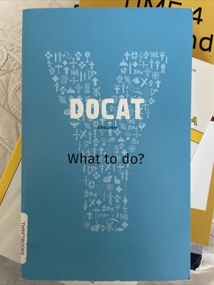 Youcat Ser.: Docat : Catholic Social Teaching for Youth by Bernhard Meuser... 9781621640493 | eBay