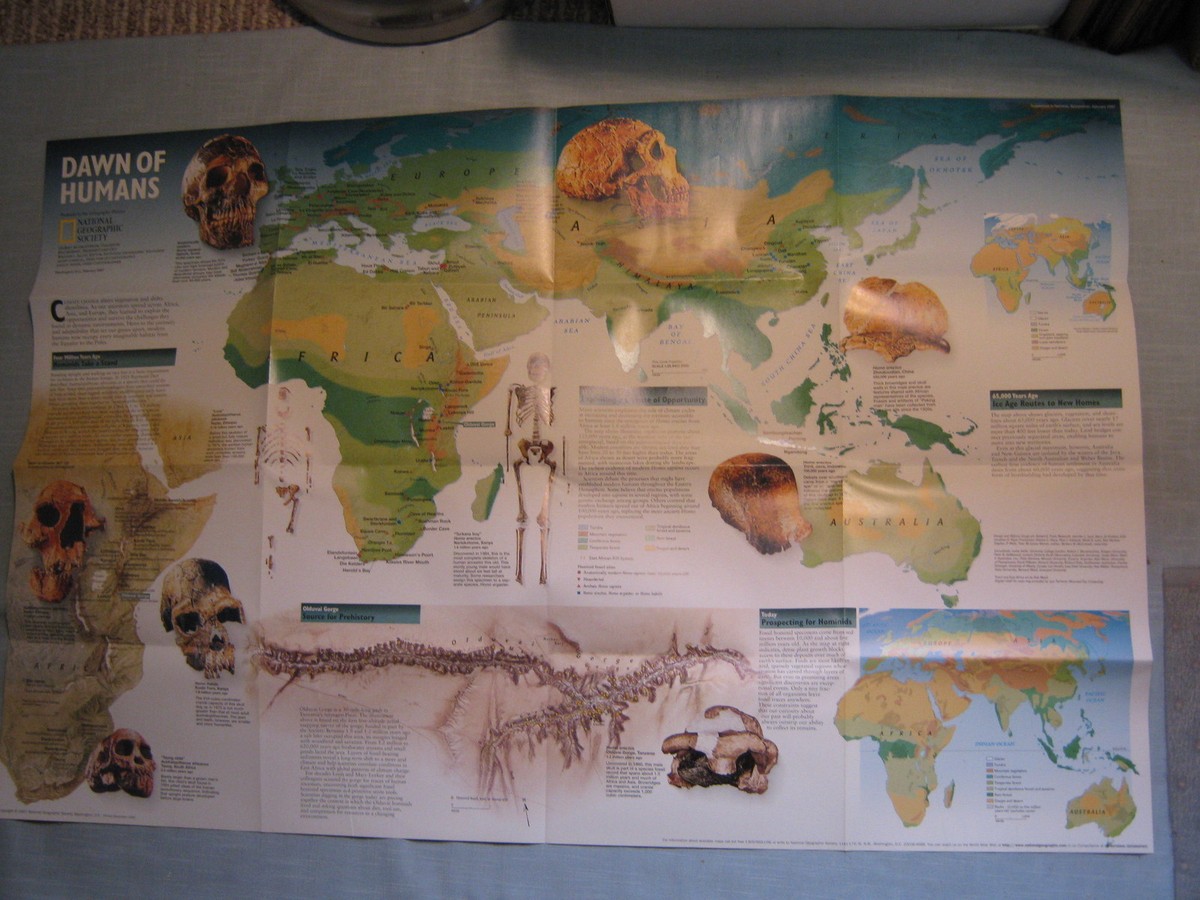 Map Human Evolution