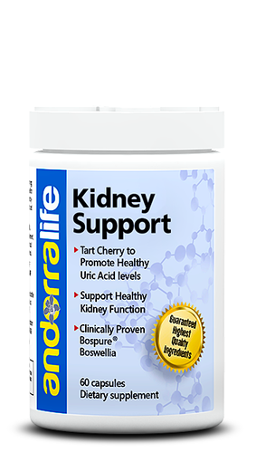 Wayal Kidney Support Gout Relief Antioxidant Uric Acid Healthy 60 Caps ...