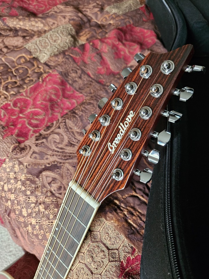 2016 Breedlove Studio 12 String SB - MINT - Body/Neck Binding - Sunburst | eBay