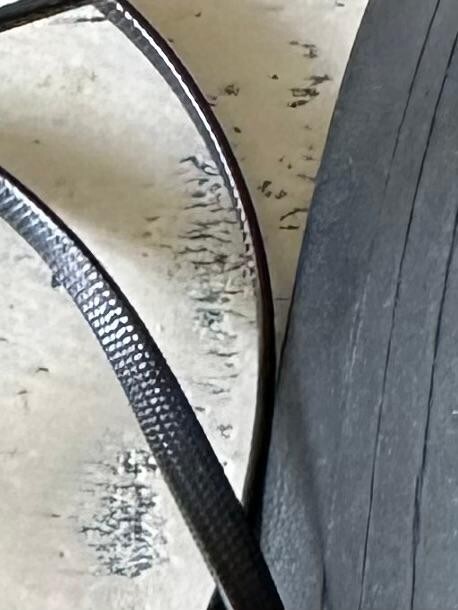 FOOTBALL BUTYL REPLACEMENT BLADDER /BLACK LACING FULL SIZE BALLS NFL ...