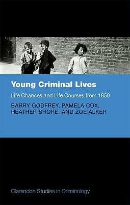 Clarendon Studies in Criminology Ser.: Young Criminal Lives: Life ...
