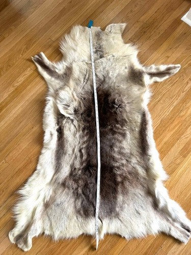 Arctic Reindeer Throw Skin Fur Pelt Taxidermy Luxurious Home Decor/Rug ...