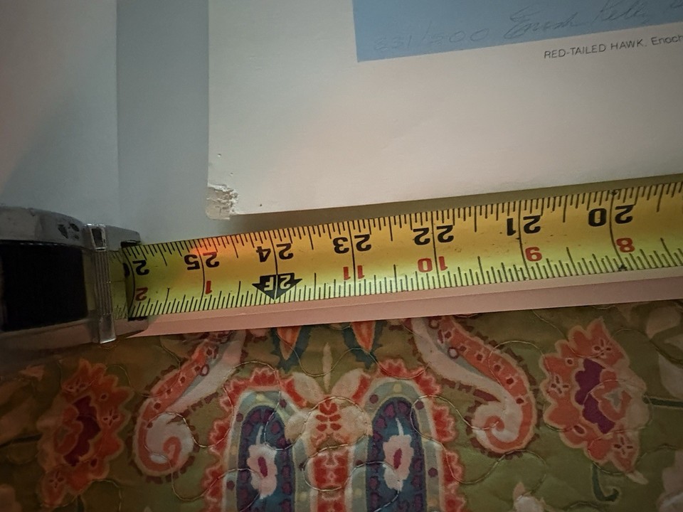 enoch kelly haney Red Tailed Hawk Print 1977 Signed/numbered | eBay