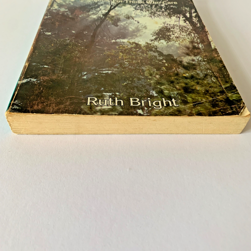 Grieving : A Handbook for Those Who Care by Ruth Bright (1986, Trade ...