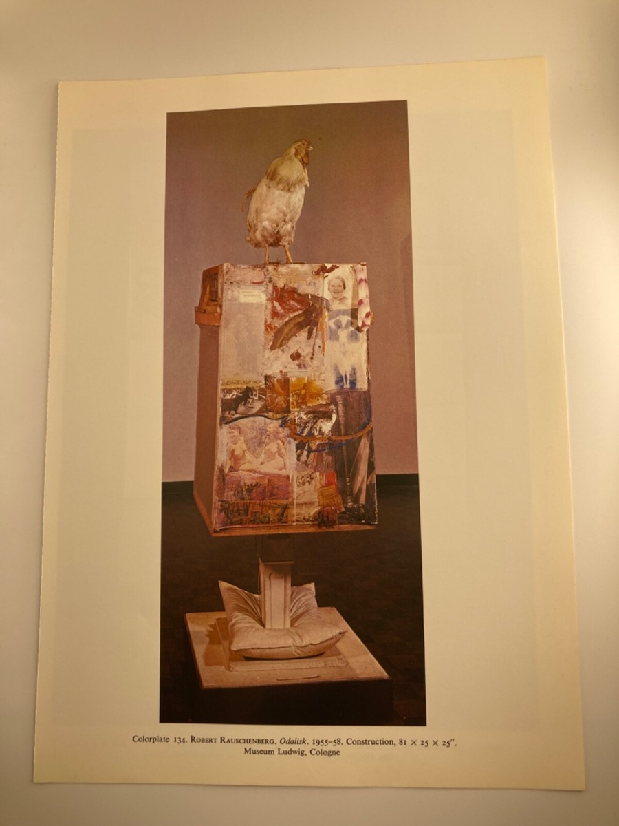 Odalisca De Rauschenberg Robert Rauschenberg