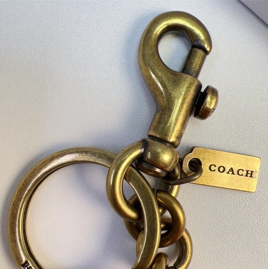 Luxury New.Coach-Red Apple Keychain Bag Charm KeyChain Resin and Metal ...