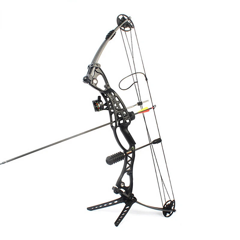 Best Left Handed Bow