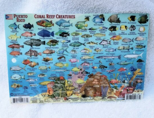 PUERTO RICO Dive Map & Reef Creatures ~ FRANKO~ Waterproof Fish Card ID ...