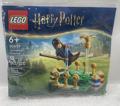 LEGO 30651 Quidditch Practice Polybag Harry Potter Saga, LIMITED ...