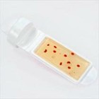 Dipslides, Bacteria Fungus Item # 56B010210 Made by Lovibond | eBay