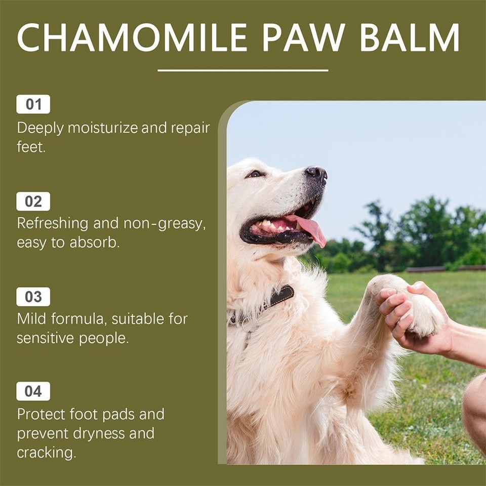 Dog Paw Balm,Paw Balm,Dog Paw Protector,Dog Licking Paws; | eBay UK