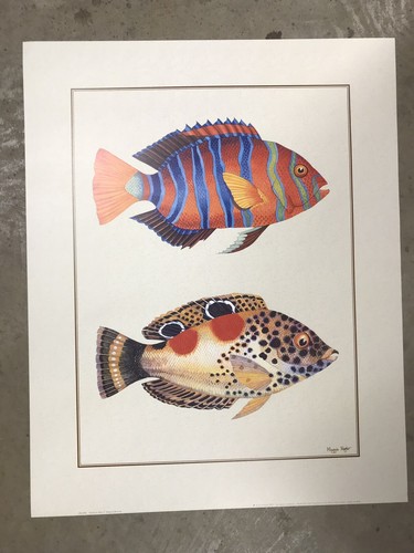 Vintage 1993 Lithograph By Maggie Riegler Art Print Nautical Fish 16 ...