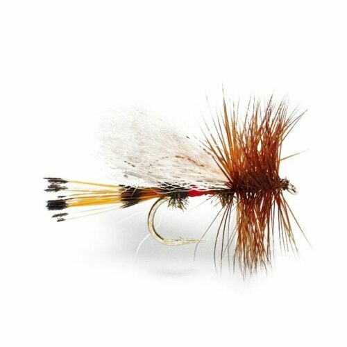 1/2 Dozen Royal Coachmen Trude Dry Flies | eBay