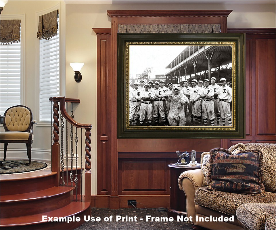 Chicago Cubs 1908 World Series Champions Mascot Team 48x36-8x10 CHOICES ...