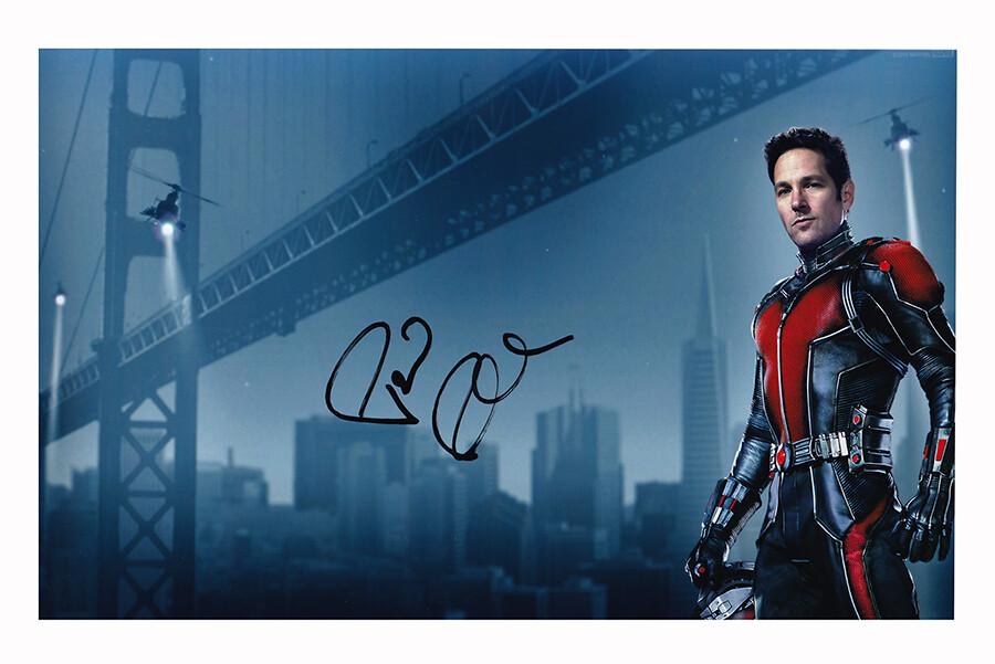 Paul Rudd Signed Autograph Ant-Man 8x10 Photo wCOA | eBay