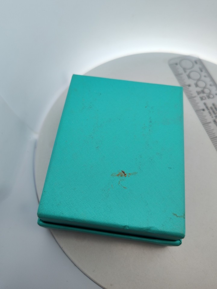 Tiffany & Co. Sterling Silver Double Chain Infinity Pendant Necklace ...