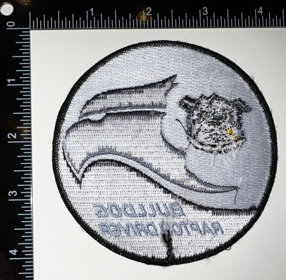USAF US Air Force 354th Fighter Squadron Bulldog Raptor Driver Patch | eBay