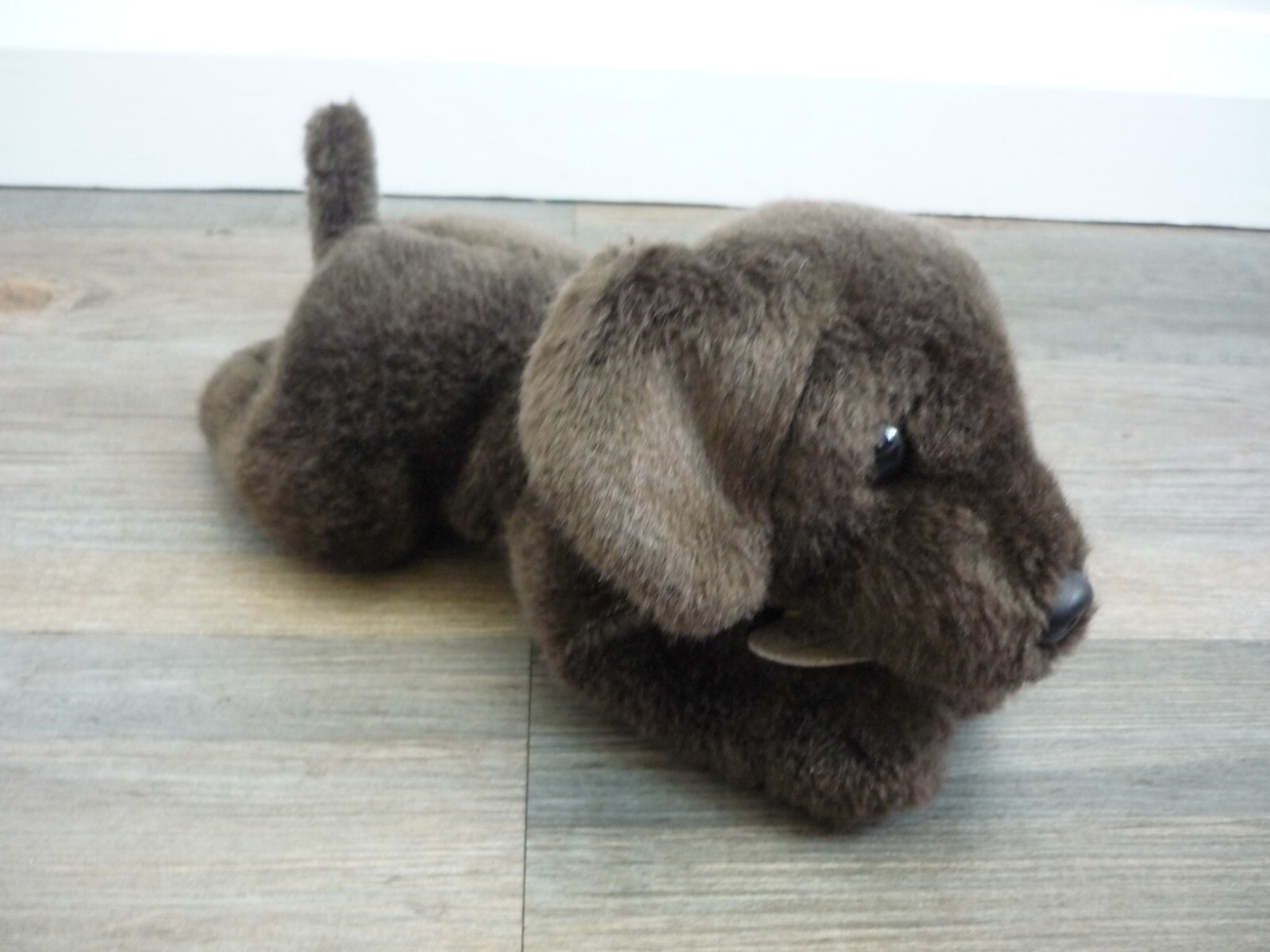 Keel BASIL Chocolate Brown Labrador Puppy Dog Collar/Name Tag Soft ...