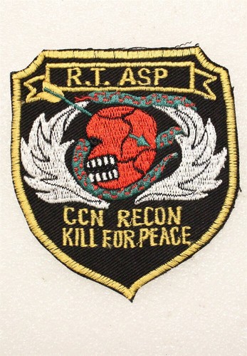 Special Forces CCN Recon Team Asp, Vietnam - COPY (Army patch 1244) | eBay