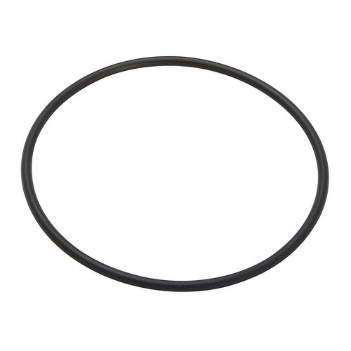 Factory PPG 24690 for PlumbMaster Water Filter O-Ring | eBay