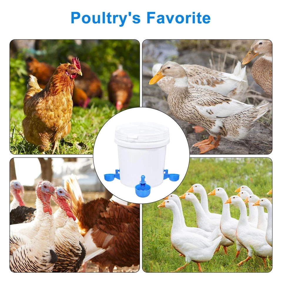 10PCS Chicken Automatic Watering Cups Drinker Waterer for Duck Quail ...