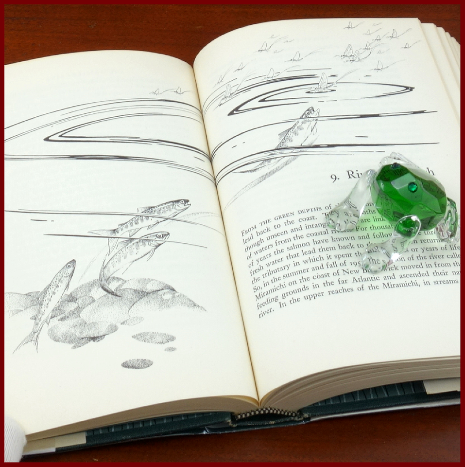 SILENT SPRING, Rachel Carson, 1ST EDITION & PRINTING, Houghton Mifflin ...