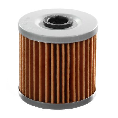 Oil Filter for Kawasaki KLF300C Bayou 1989-1999 (123) | eBay Australia