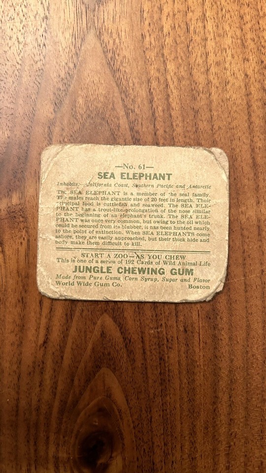Jungle Chewing Gum card #61 Sea Elephant, World Wide Gum Company | eBay