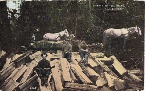 Lumberjacks Cedar Shingle Bolts Workhorse Sled WA c1910 P164 | eBay