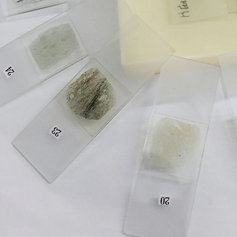 20pcs Geology Study Mineral Thin Section Prepared Microscope Rock ...