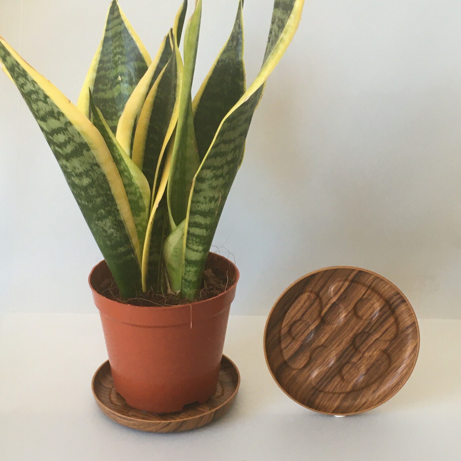 10 VTG 70's Faux Teak Wood Effect Melamine Nibbles Round Serving Dish ...