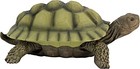Box Turtle Statue Hand Painted Garden Pond Lawn Indoor Outdoor Medium ...