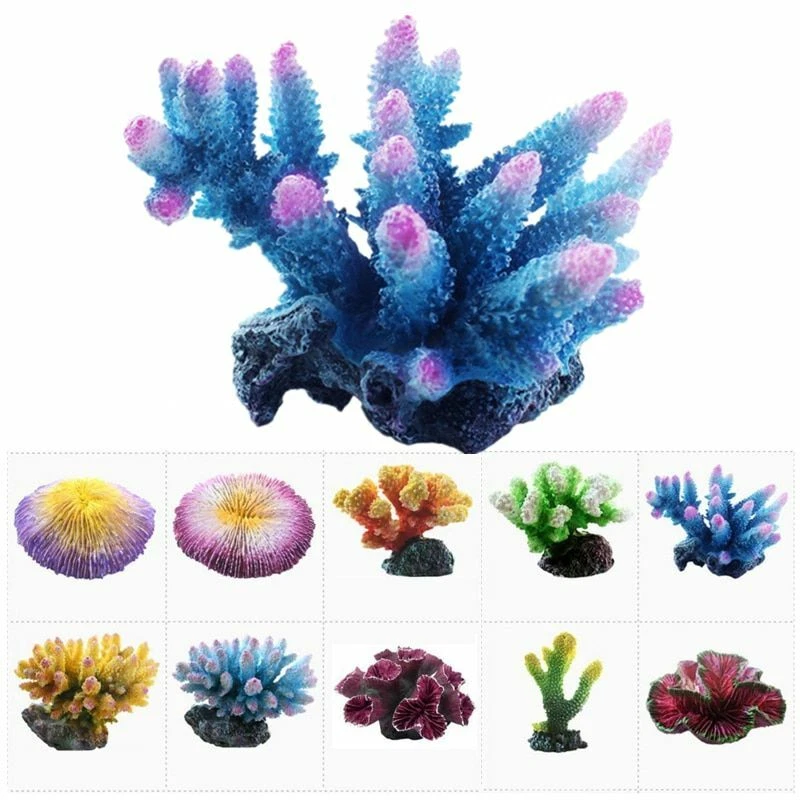 Coral Reef Flower