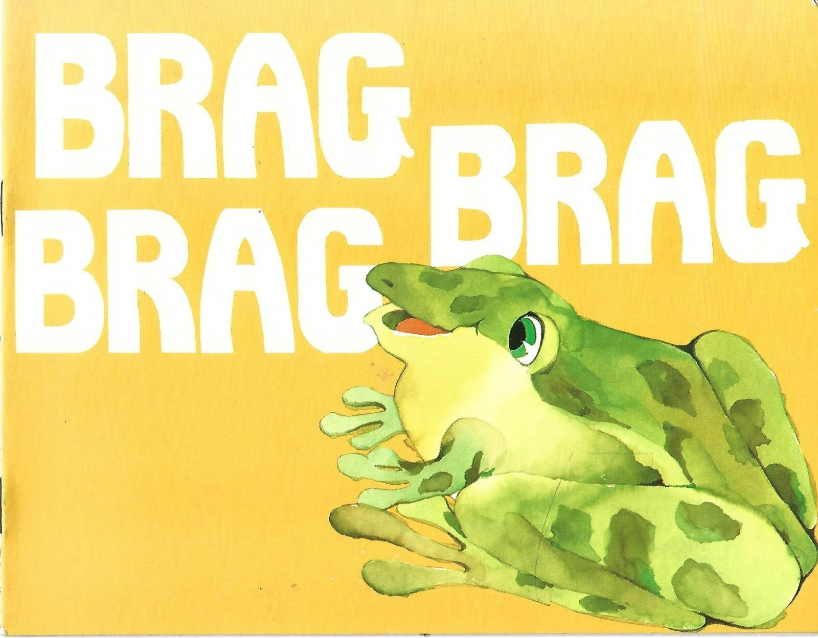 Brag, Brag, Brag: Phonics Practice Readers Series A, Set 3, Book 1 | eBay