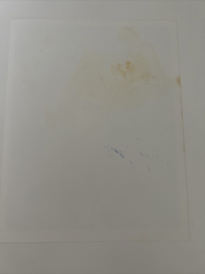 Terry Moore Signed Autograph (8x10) Photograph | Come Back Little Sheba ...